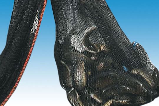 Ruser og Tejner | Frydendahl.com