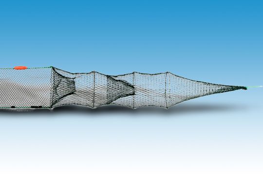 Ruser og Tejner | Frydendahl.com